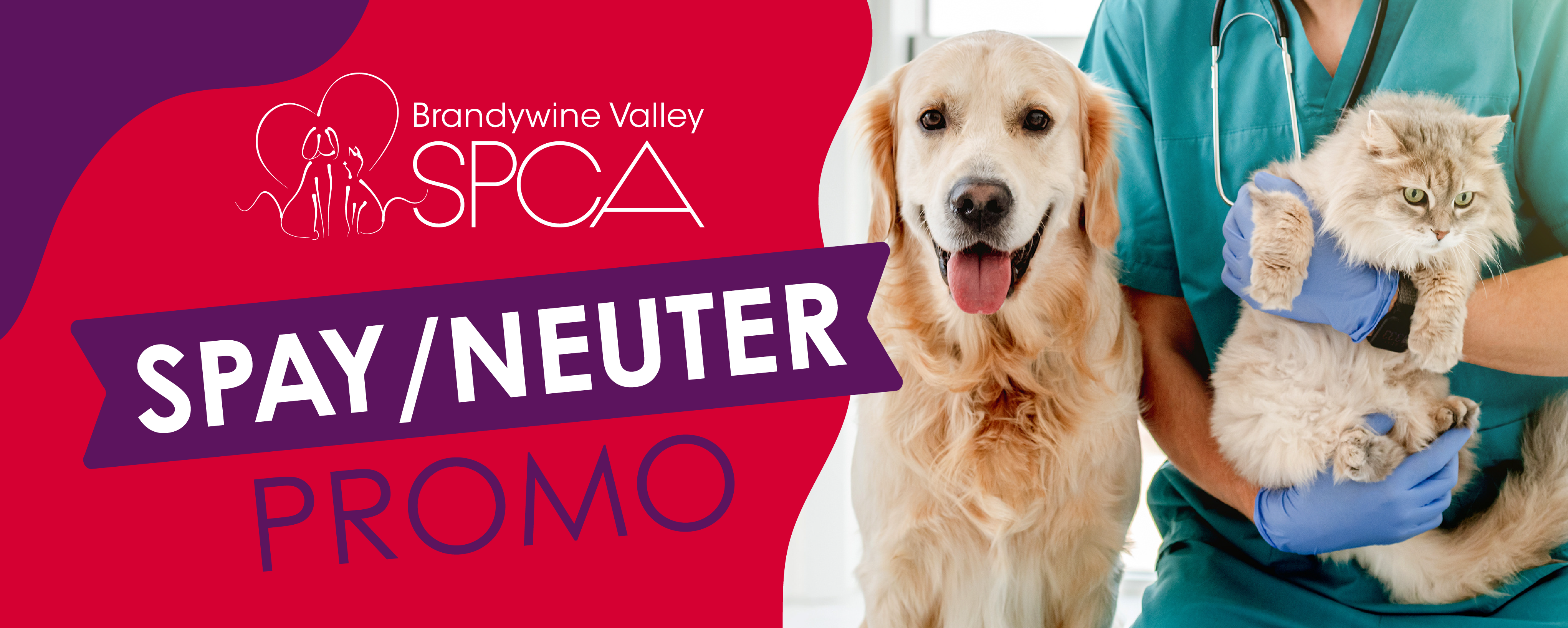 Brandywine Valley SPCA | Adoption Info