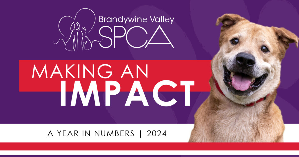 Brandywine Valley SPCA | Making an Impact: 20,596 Animals Cared for…