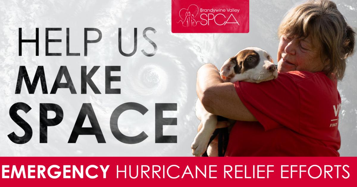 Brandywine Valley SPCA | BVSPCA's Hurricane Milton Relief Efforts