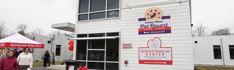 Brandywine Valley SPCA | Animal Rescue Center