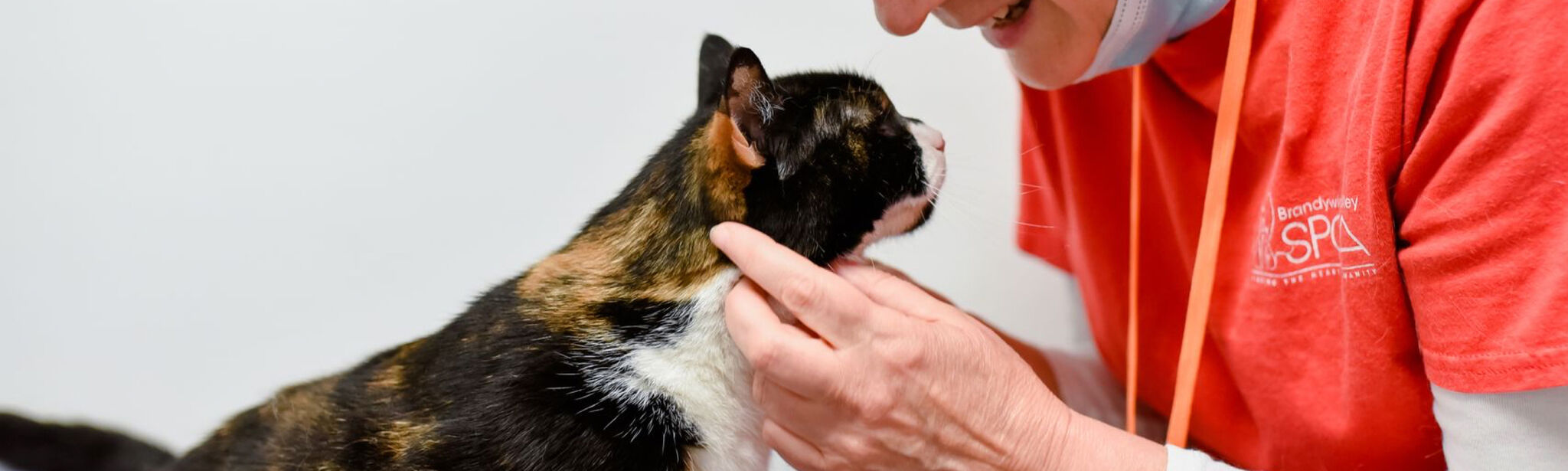 Brandywine Valley SPCA | Volunteer (DC)