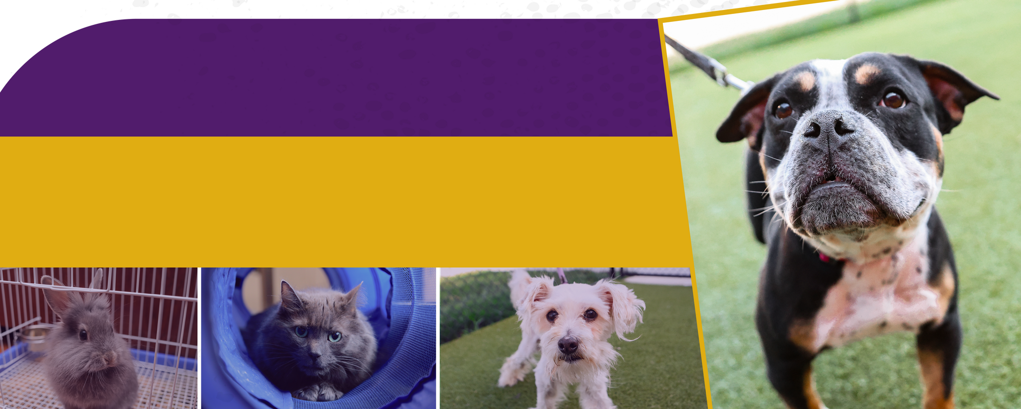 Brandywine Valley SPCA | Animal Adoption Center enters into…