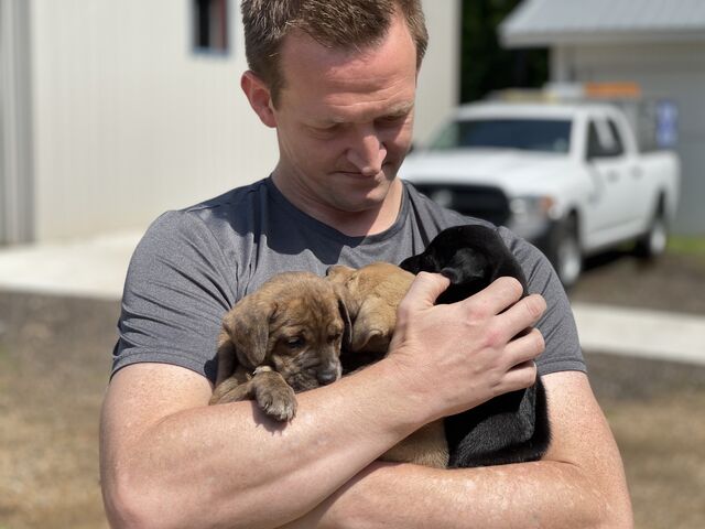 Brandywine Valley SPCA | About Us