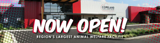 Brandywine Valley SPCA | Copeland opening
