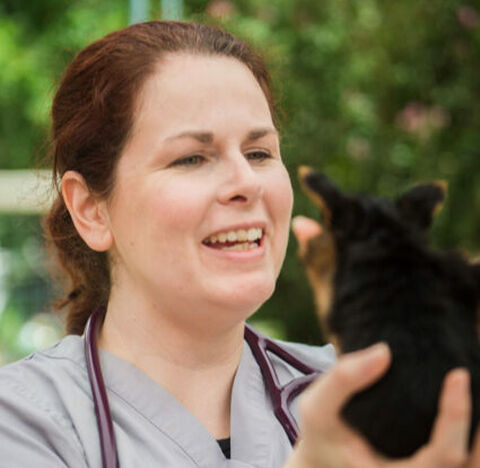 Brandywine Valley SPCA | Tangi wellness clinic