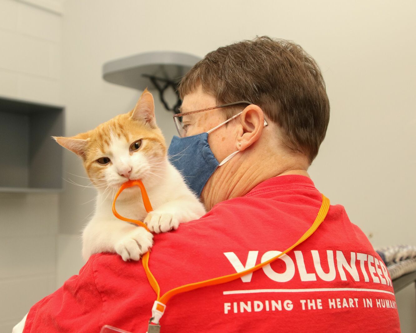 Brandywine Valley SPCA | Volunteer