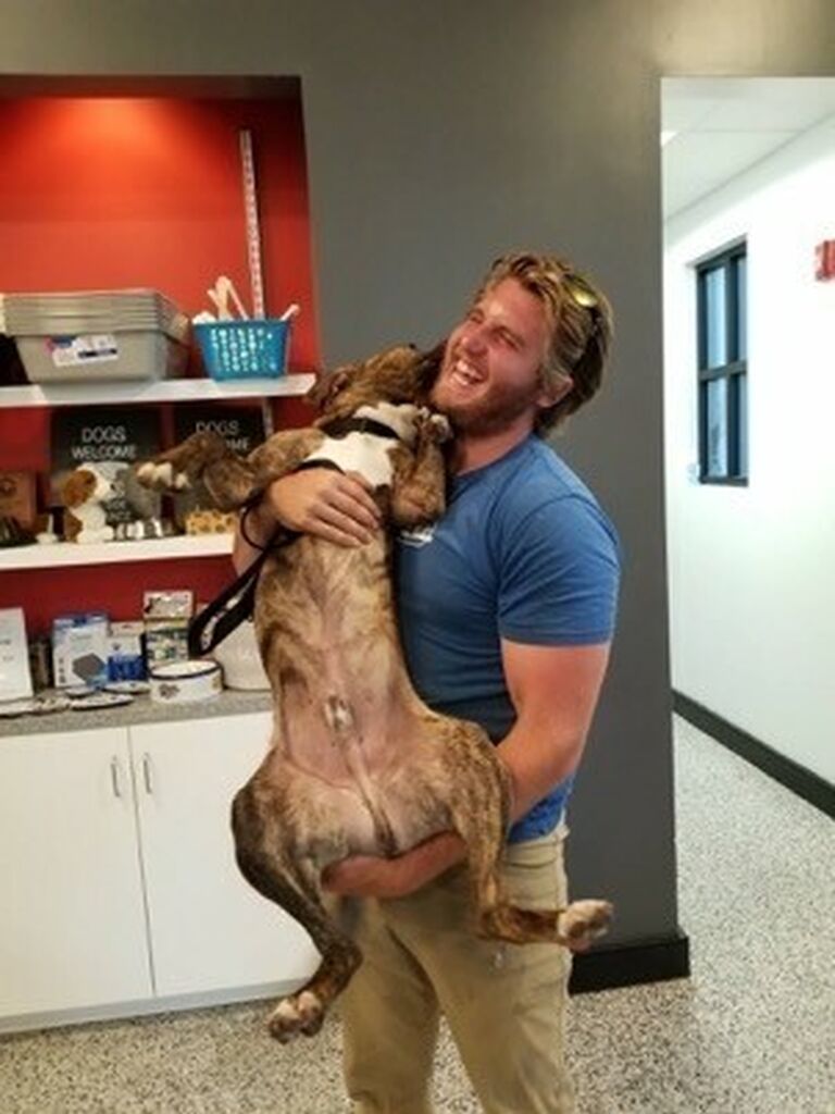 Brandywine Valley SPCA | Adoption Info