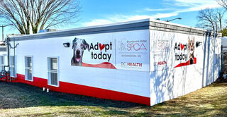 Brandywine Valley SPCA | Washington, D.C. - New York Ave