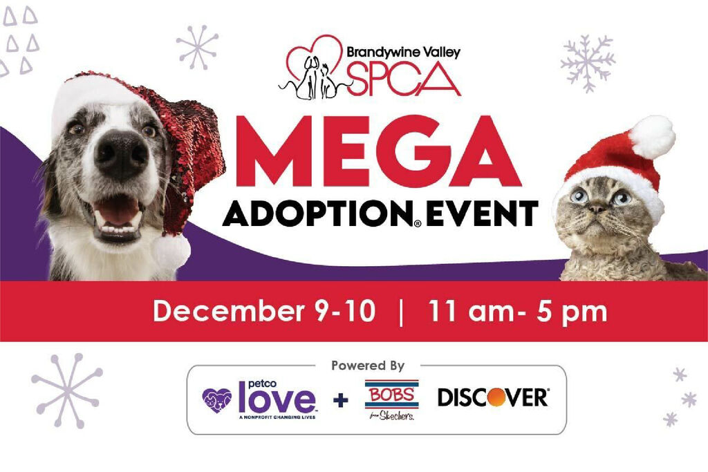 Brandywine Valley SPCA | MEGA Adoption® Event