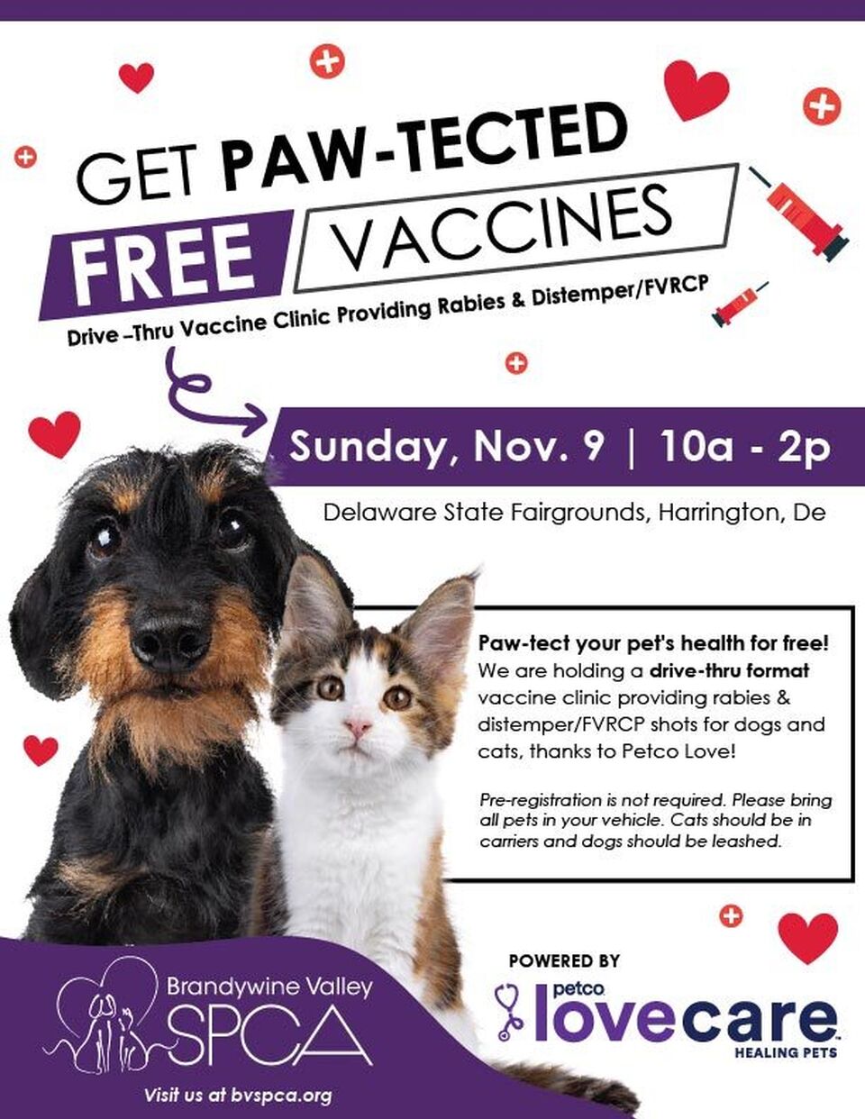 Brandywine Valley SPCA | Free Vaccine Clinic for Dogs and Cats