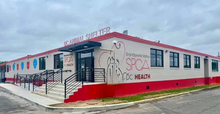 Brandywine Valley SPCA | BVSPCA DC Animal Control & Services