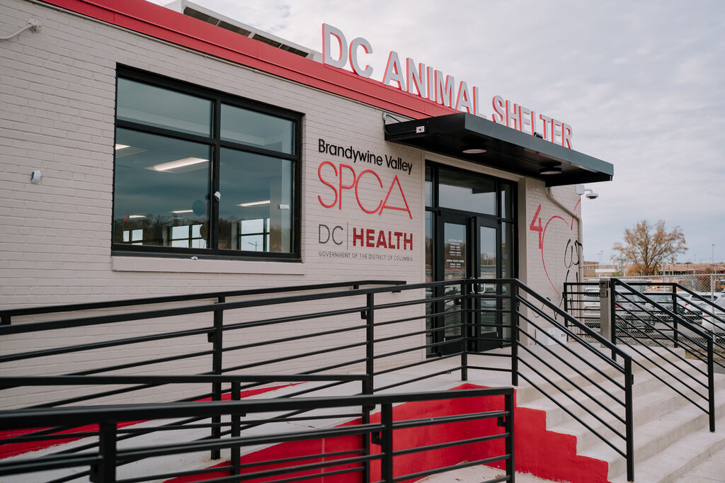 Brandywine Valley SPCA | BVSPCA DC Animal Control & Services