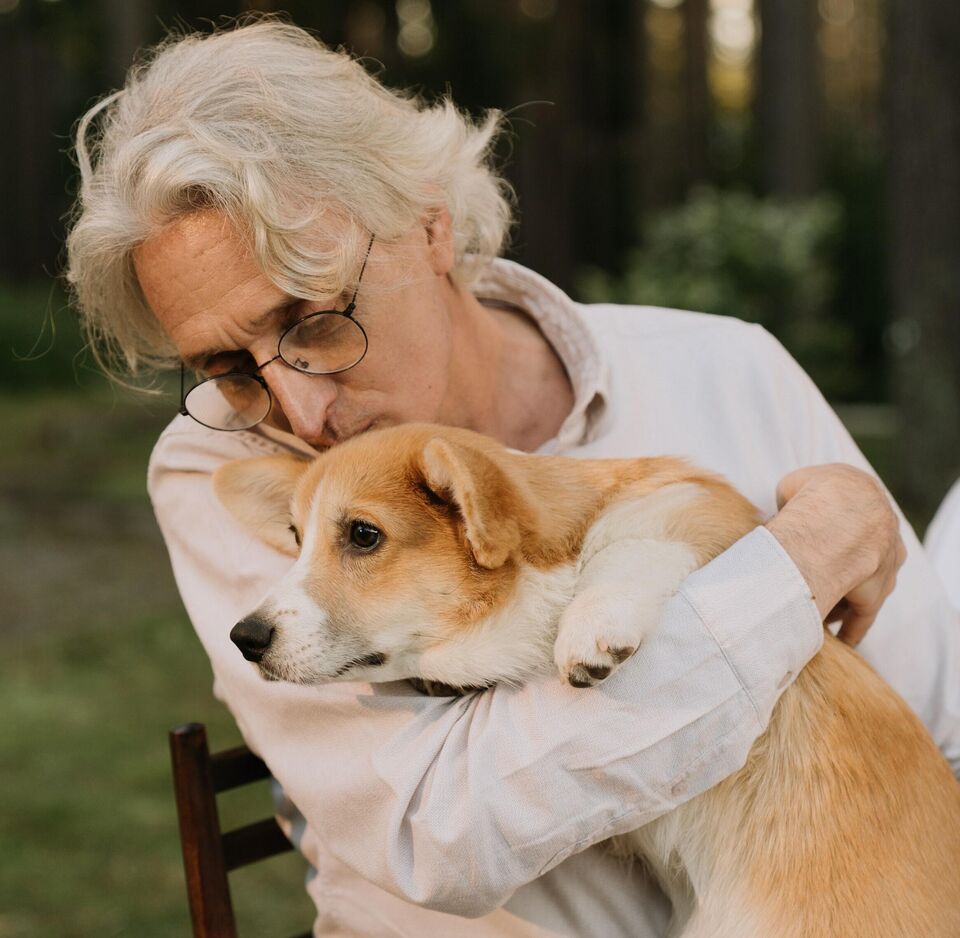 Brandywine Valley SPCA | Adoption Info