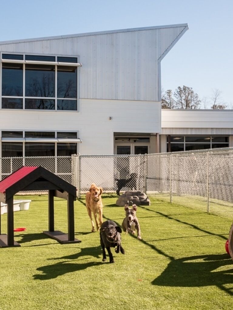 Brandywine Valley SPCA | Animal Rescue Center