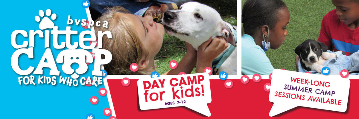 Brandywine Valley SPCA | Brandywine Valley SPCA