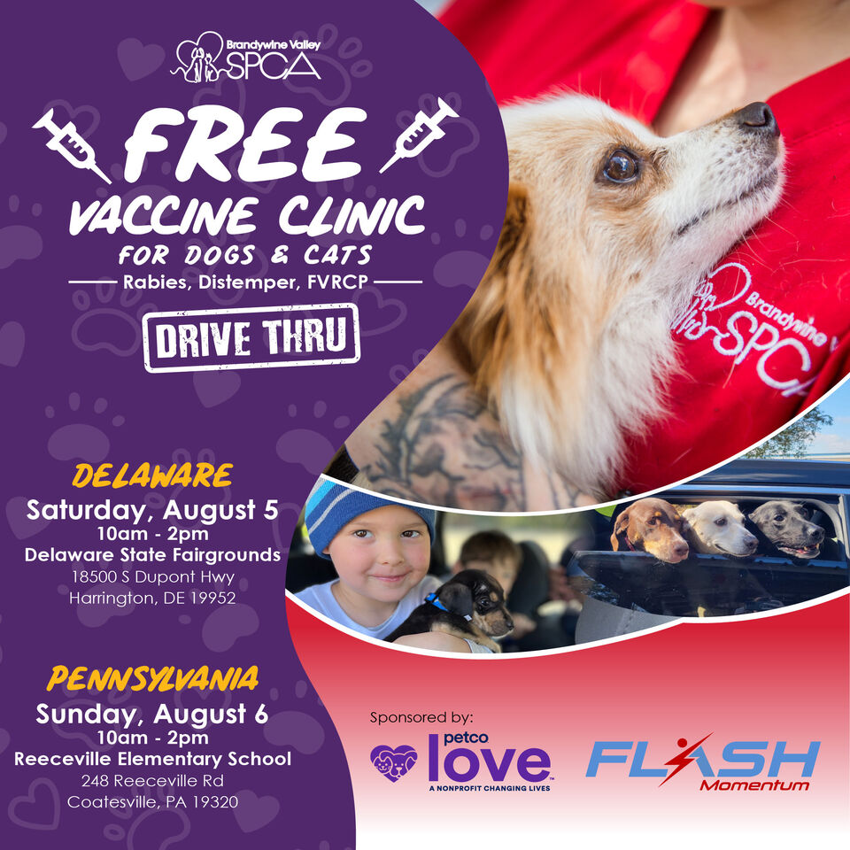 Brandywine Valley SPCA | Free Vaccine Clinic for Dogs & Cats