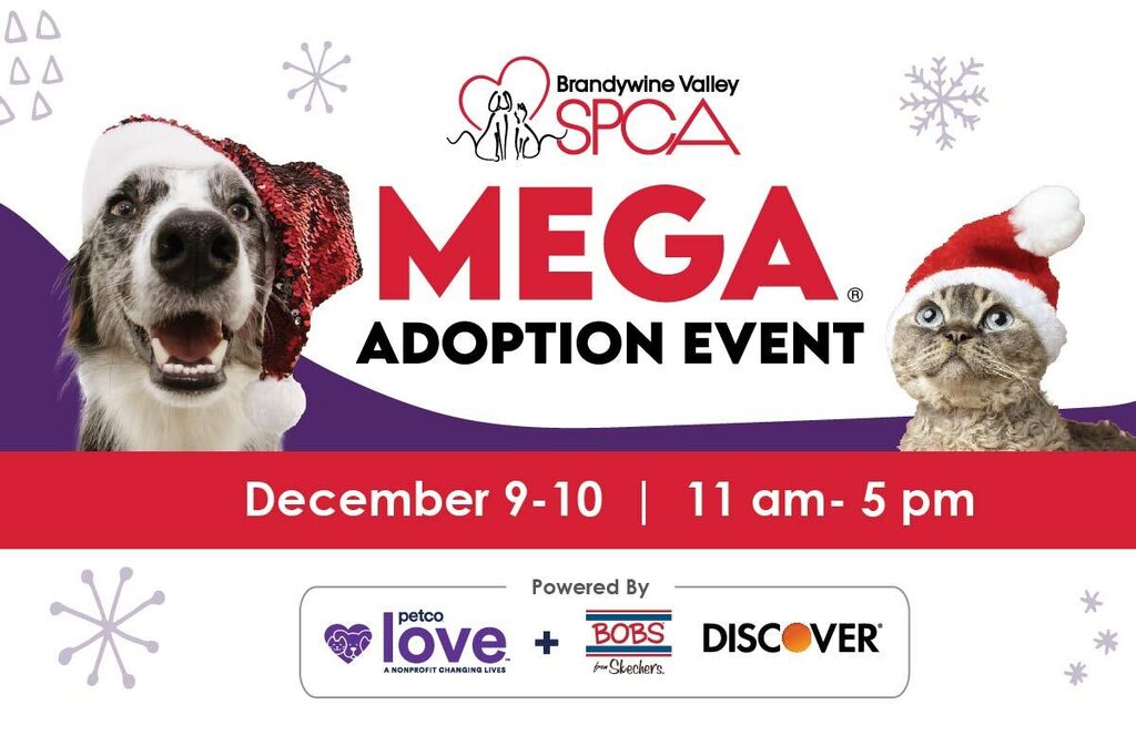 Brandywine Valley SPCA | MEGA Adoption Event