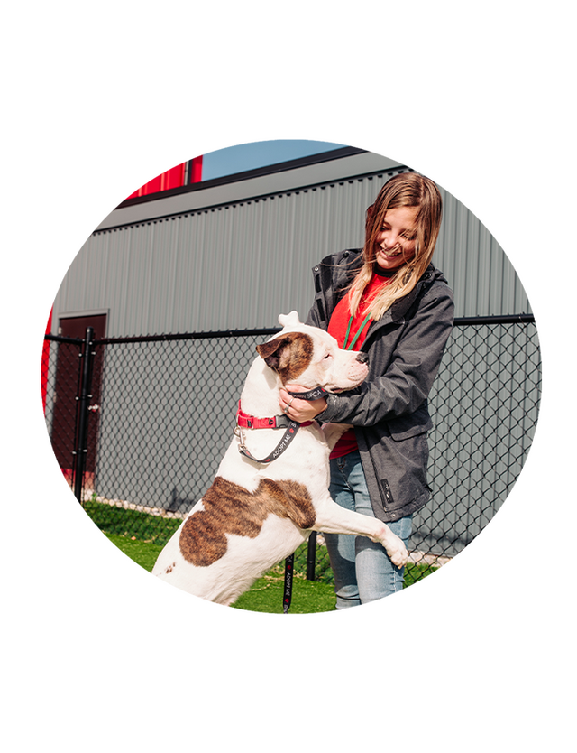 Brandywine Valley SPCA | HSHA joins the Brandywine Valley SPCA