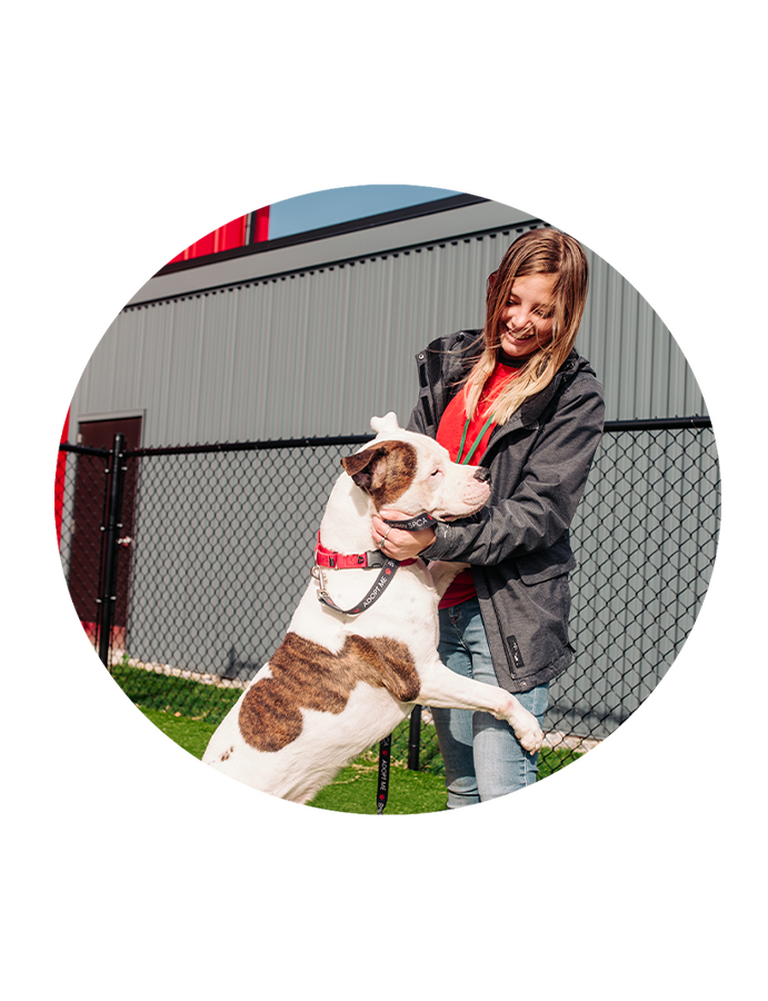 Brandywine Valley SPCA | HSHA joins the Brandywine Valley SPCA