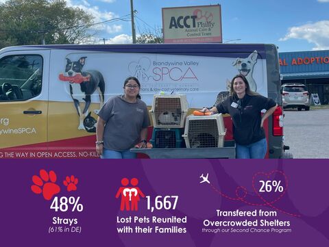 Brandywine Valley SPCA | Making an Impact: 17,082 Animals Cared for…