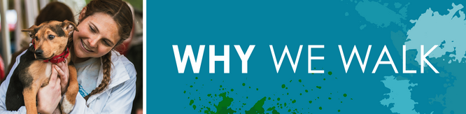 Brandywine Valley SPCA | BVSPCA's Walk for Paws 4/27/24 | West Goshen…