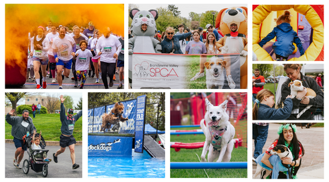 Brandywine Valley SPCA | BVSPCA's 2024 Walk for Paws Success