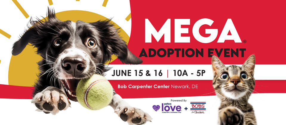 Brandywine Valley SPCA | Mega® Adoption Event Summer 2024