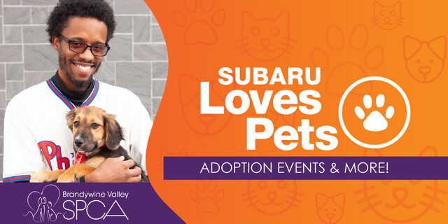 Brandywine Valley SPCA | Waived Fees at Subaru Loves Pets Events