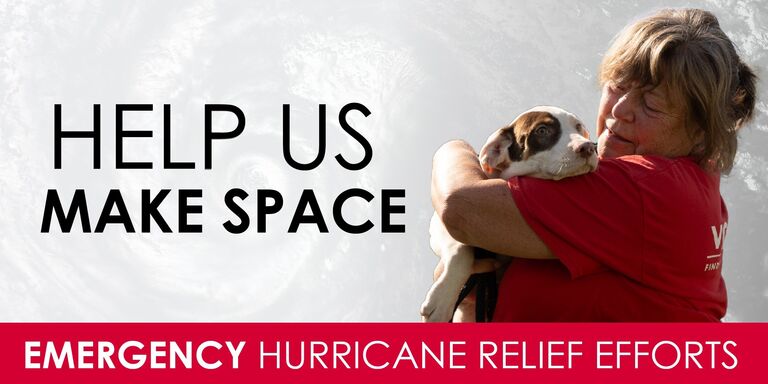 Brandywine Valley SPCA | BVSPCA's Hurricane Milton Relief Efforts