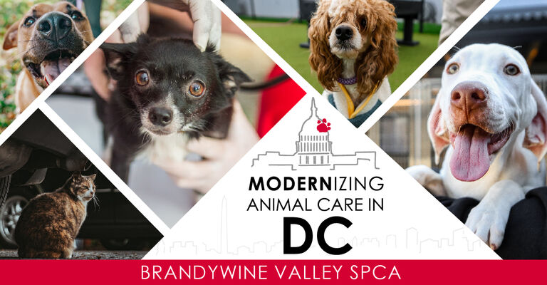Brandywine Valley SPCA | BVSPCA is Expanding to DC