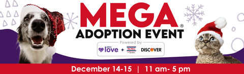 Brandywine Valley SPCA | BVSPCA Mega Adoption Event