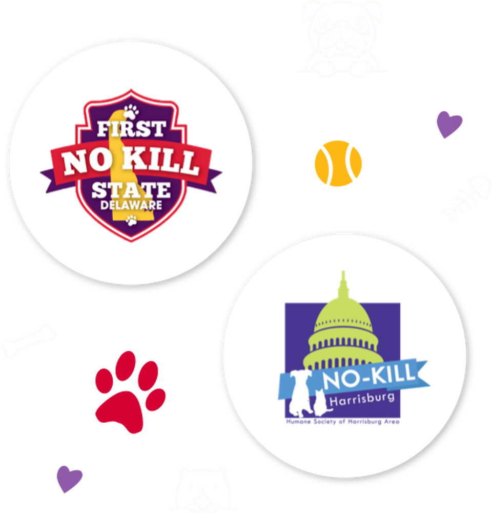 Brandywine Valley SPCA | BVSPCA DC Animal Control & Services