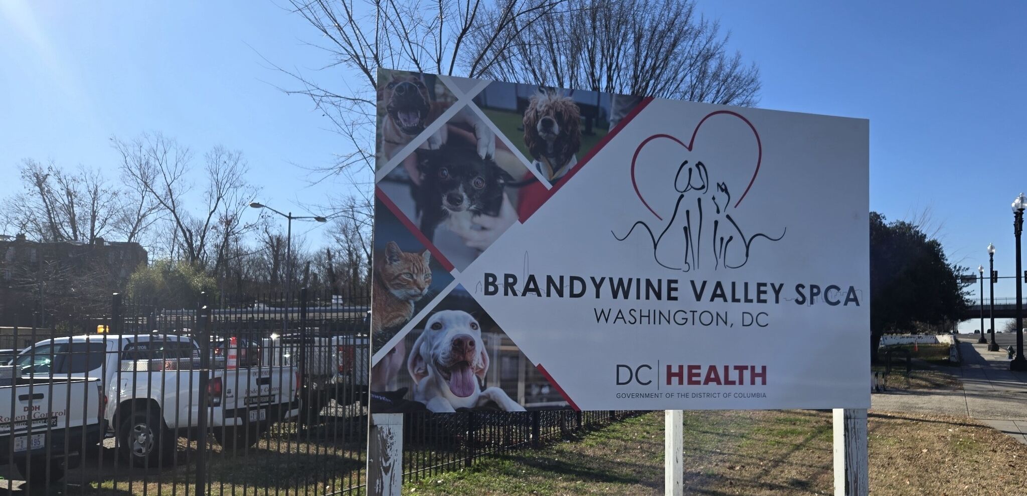 Brandywine Valley SPCA | BVSPCA DC Animal Control & Services