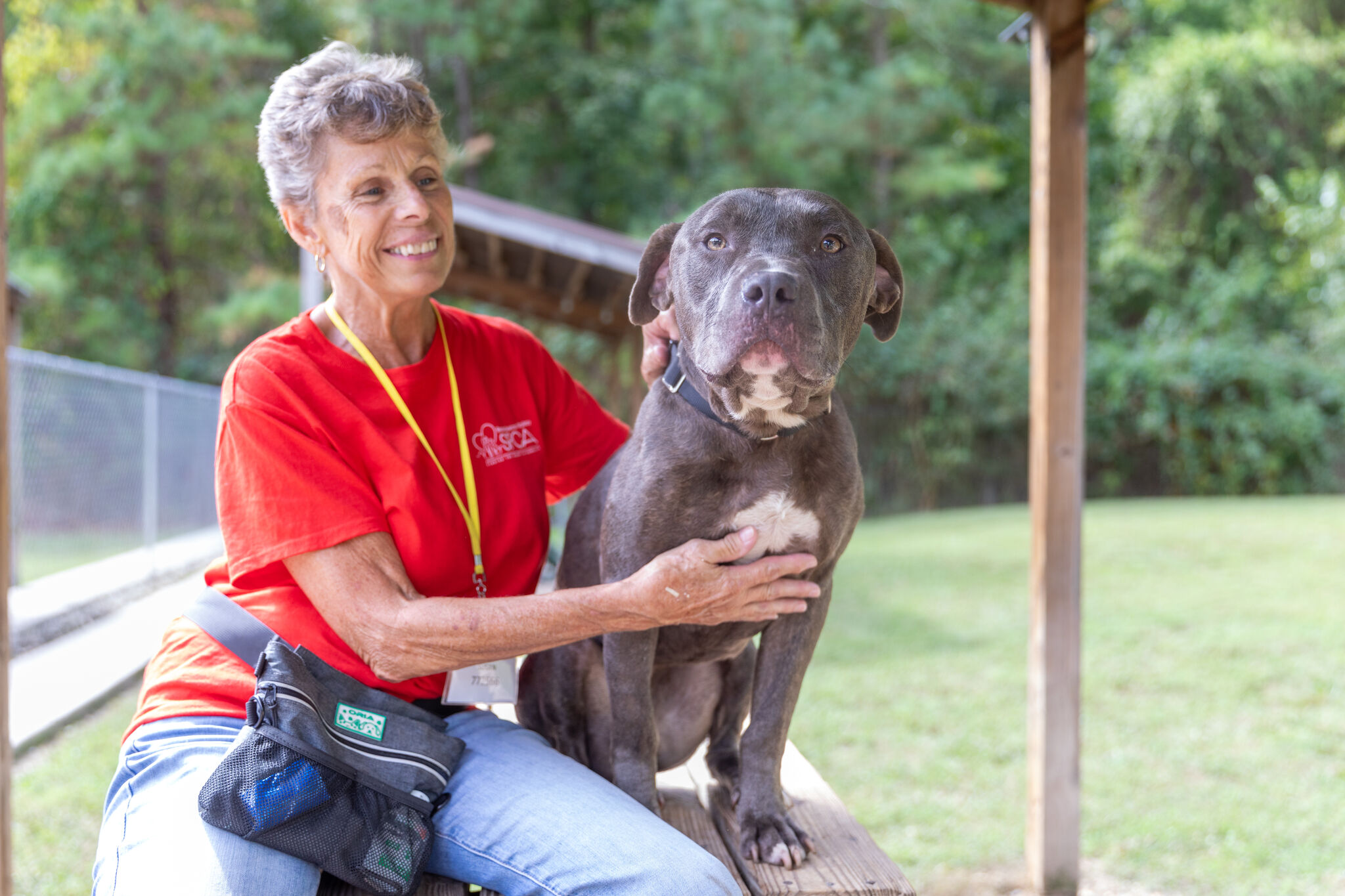 Brandywine Valley SPCA | Adoption Info