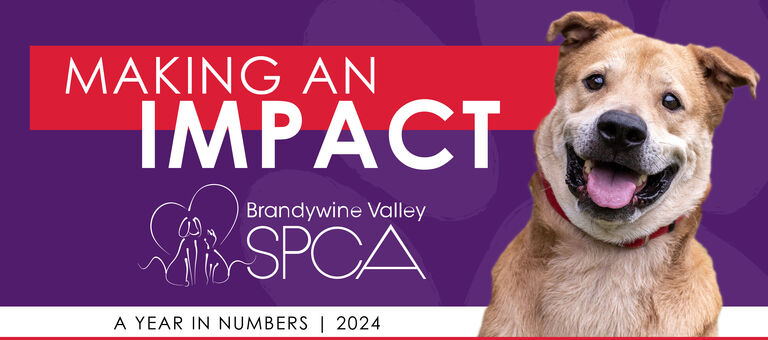 Brandywine Valley SPCA | Making an Impact: 20,596 Animals Cared for…