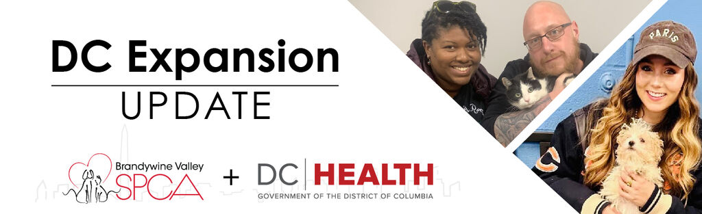 Brandywine Valley SPCA | Sign Your Kids Up for CRITTER CAMP!