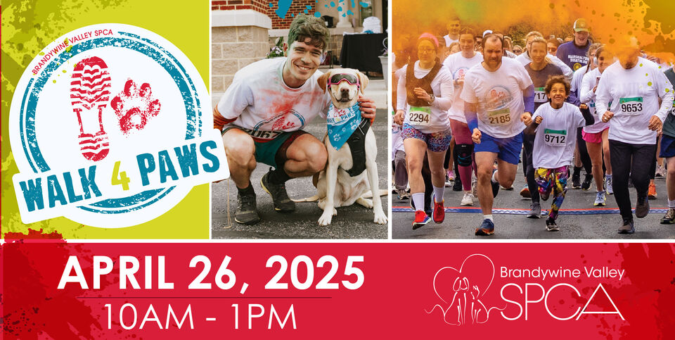 Brandywine Valley SPCA | Save the Date: Walk for Paws 2025