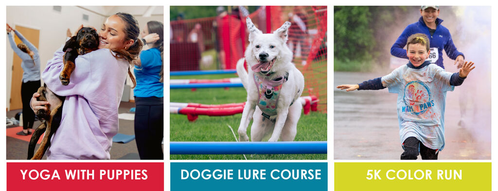 Brandywine Valley SPCA | Save the Date: Walk for Paws 2025