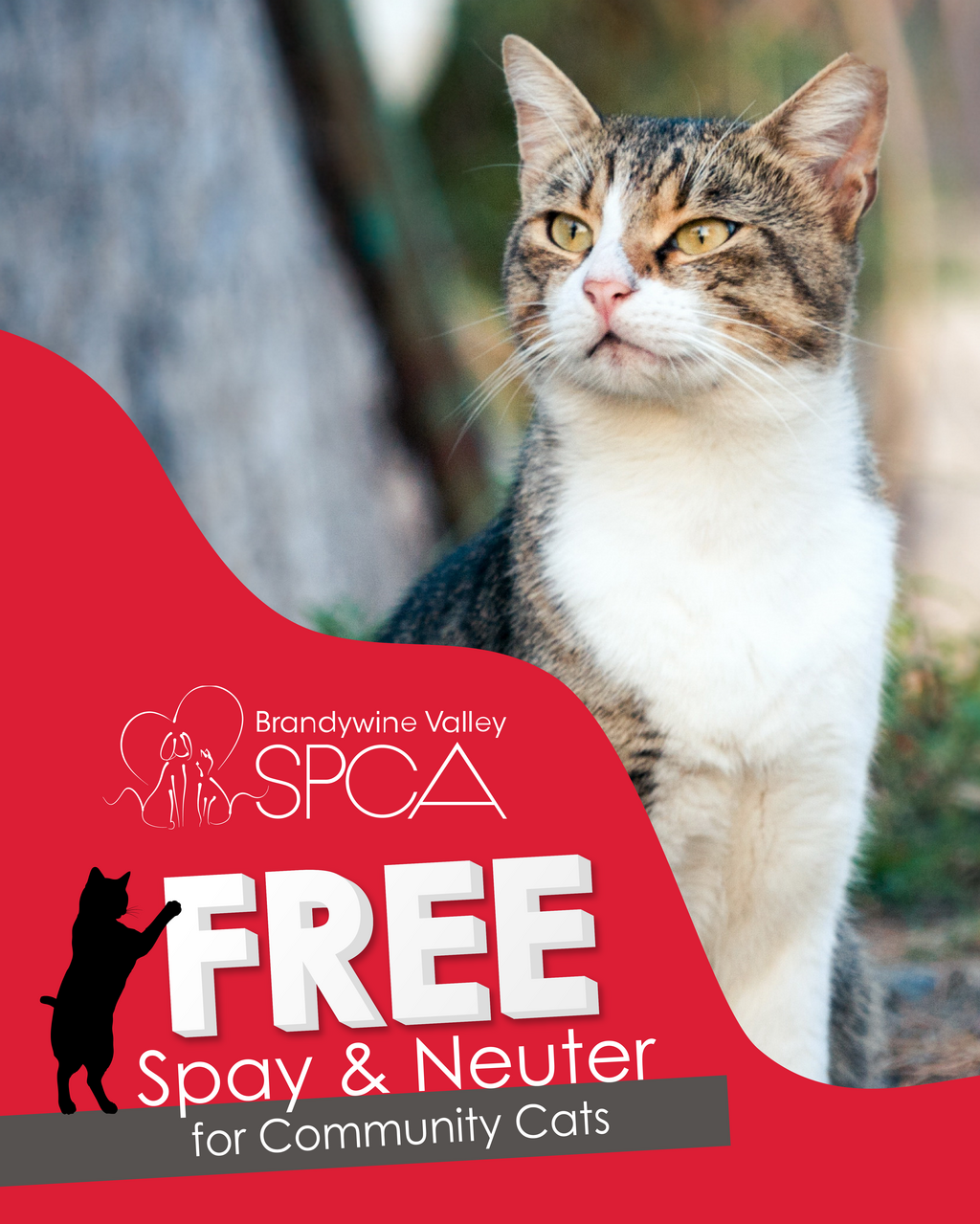Brandywine Valley SPCA | BVSPCA DC Animal Control & Services