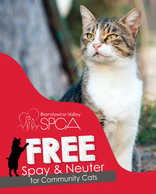 Brandywine Valley SPCA | BVSPCA DC Animal Control & Services
