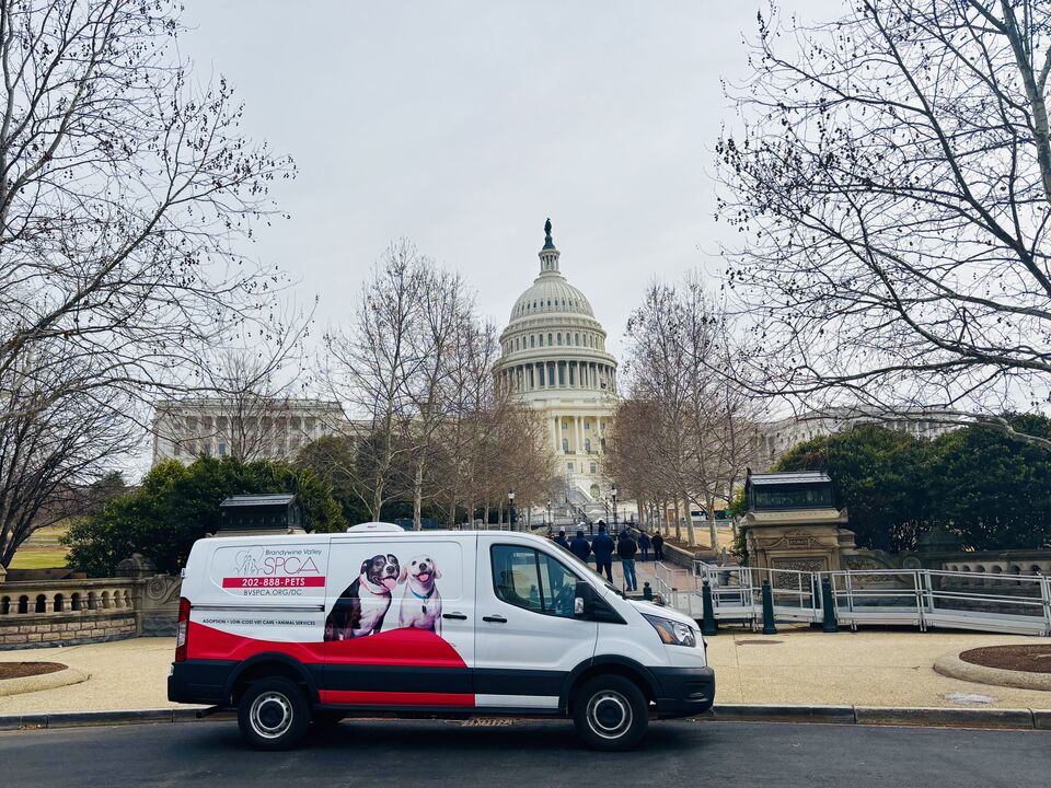 Brandywine Valley SPCA | Animal Control (DC)