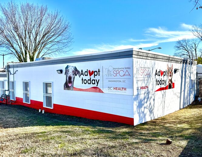 Brandywine Valley SPCA | Washington, DC - New York Ave