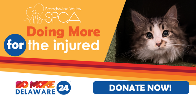 Brandywine Valley SPCA | Do More 24: Delaware's Giving Day