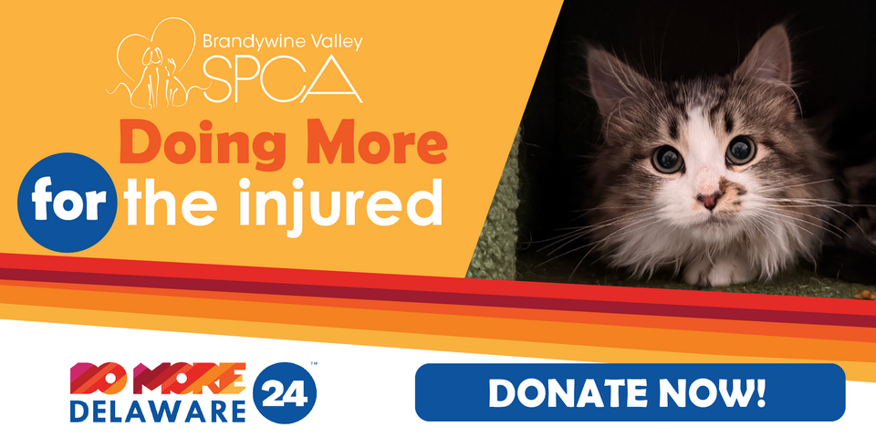 Brandywine Valley SPCA | Do More 24: Delaware's Giving Day