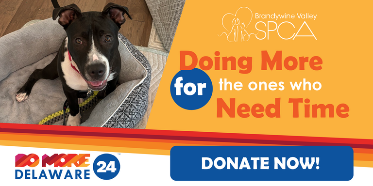 Brandywine Valley SPCA | Do More 24: Delaware's Giving Day