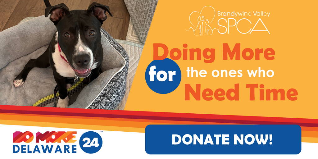 Brandywine Valley SPCA | Do More 24: Delaware's Giving Day