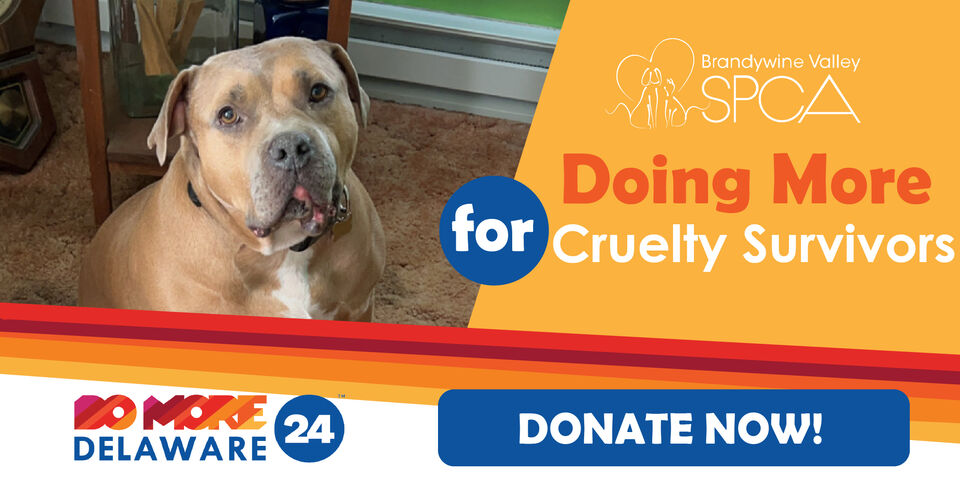 Brandywine Valley SPCA | Do More 24: Delaware's Giving Day