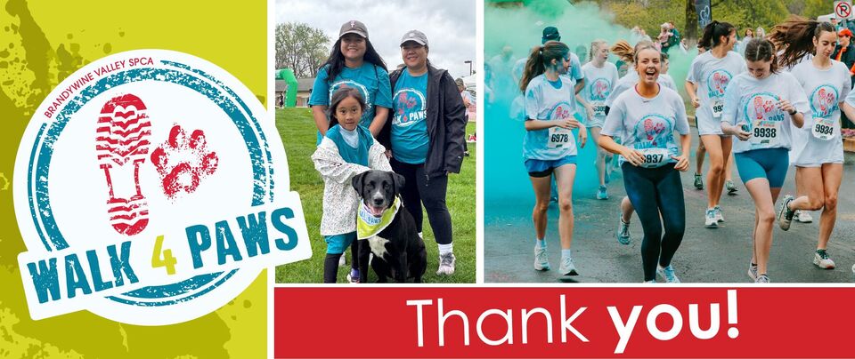 Brandywine Valley SPCA | Walk for Paws Success, Thanks to You!