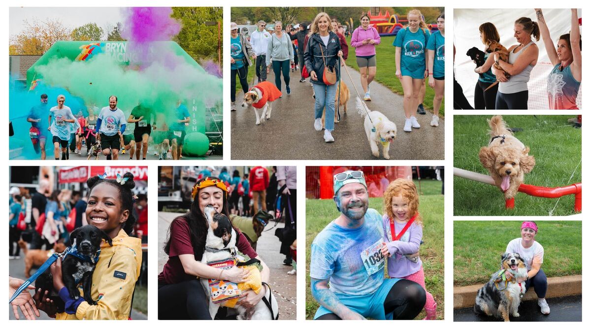 Brandywine Valley SPCA | Walk for Paws Success, Thanks to You!