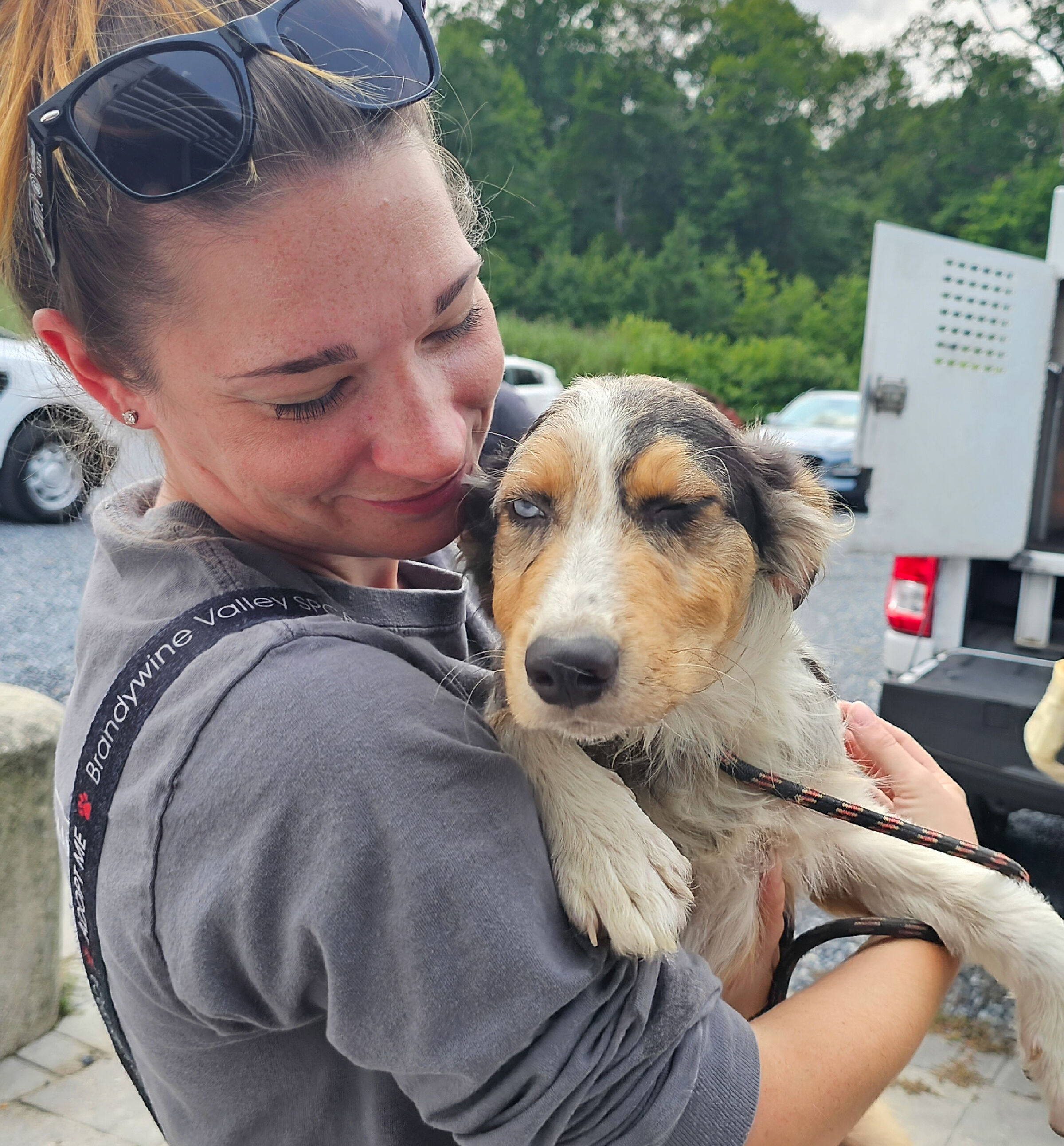 Brandywine Valley SPCA | Animal Rescue Center